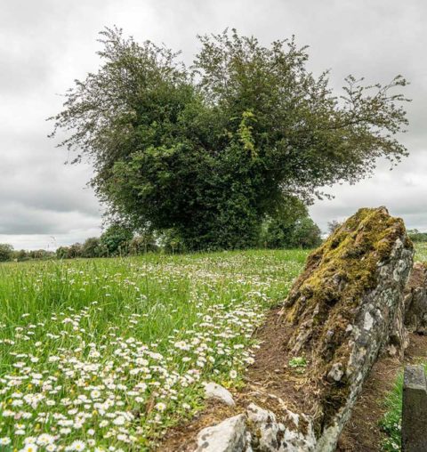 About Amantha - Amantha Murphy