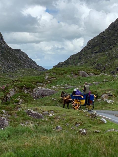 About Amantha - Amantha Murphy