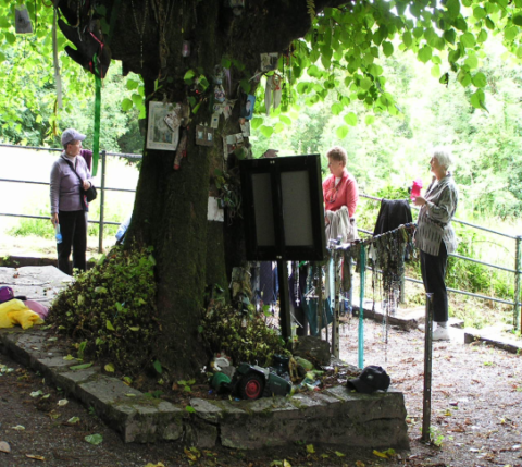 Pilgrimages - Amantha Murphy